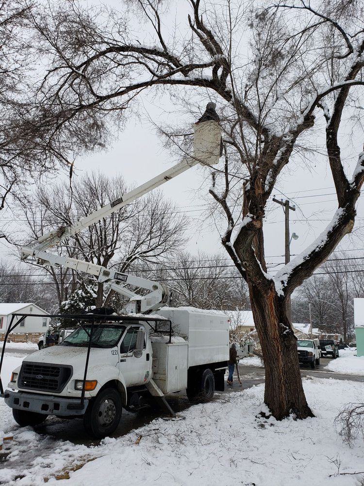 A-ALPHA TREE COMPANY - Updated August 2025 - 47 Photos & 31 Reviews ...