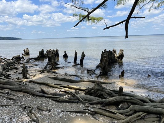 CHIPPOKES STATE PARK - Updated January 2026 - 176 Photos & 35 Reviews ...