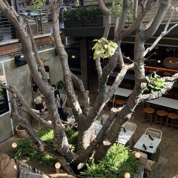 MIRATE - Updated April 2025 - 2395 Photos & 884 Reviews - 1712 N ...