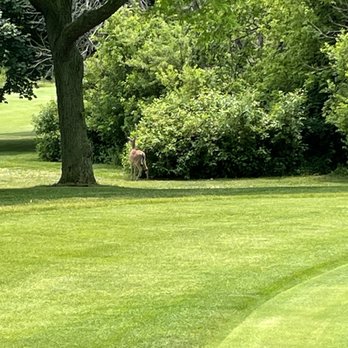 WARNIMONT GOLF COURSE - Updated December 2025 - 25 Photos & 11 Reviews ...