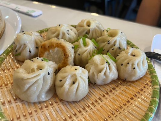 DUMPLING WORLD - 115 Photos & 43 Reviews - 3149 Hwy 6, Sugar Land ...