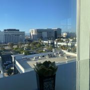 FLORA ROOFTOP BAR - 129 Photos & 91 Reviews - 2130 E Maple Ave, El ...