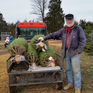 WATA CHRISTMAS TREE FARM - Updated January 2026 - 16 Reviews - 3650 ...