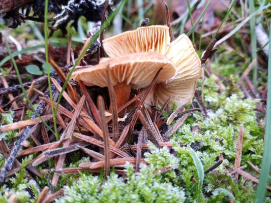 SLY PARK RECREATION AREA - Updated December 2025 - 646 Photos & 198 ...