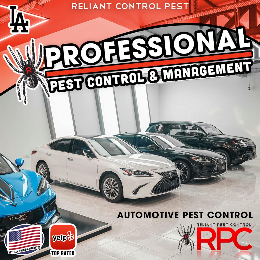 RELIANT PEST CONTROL - Updated August 2025 - 42 Photos & 122 Reviews ...