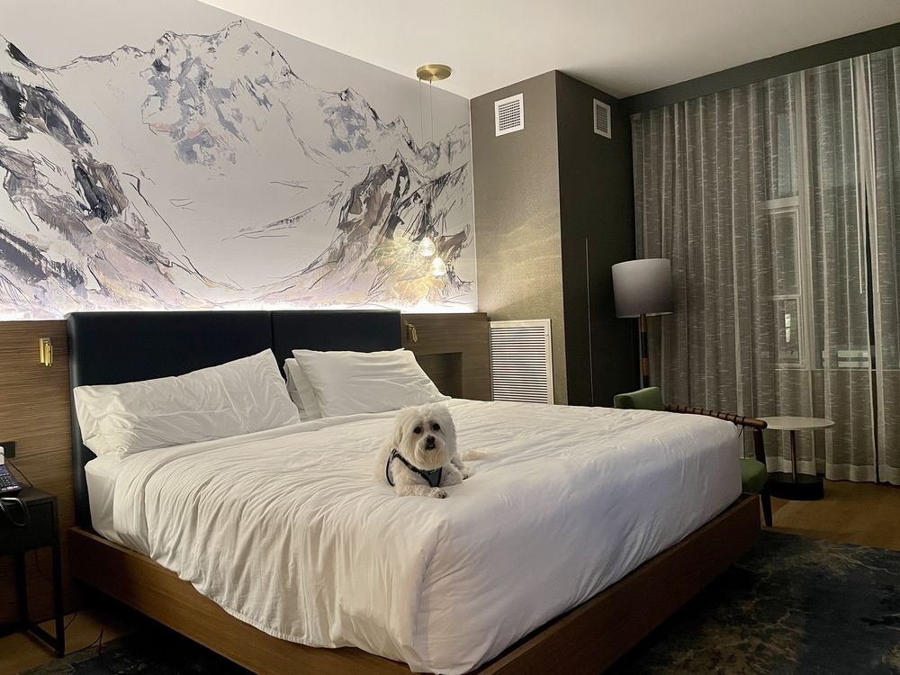 HOTEL INDIGO VANCOUVER DWTN - PORTLAND AREA - 550 Waterfront Way ...