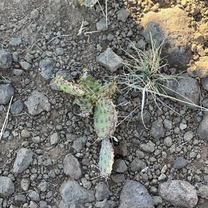 ARTHUR LAKES LIBRARY - Updated April 2024 - 13 Photos - 1400 Illinois ...