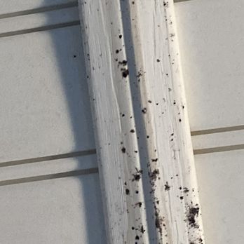 MAA BENTON - Updated January 2026 - 41 Photos & 14 Reviews - 1475 ...