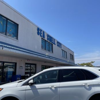 SEA SHELL CITY - Updated November 2025 - 16 Photos & 18 Reviews - 708 ...