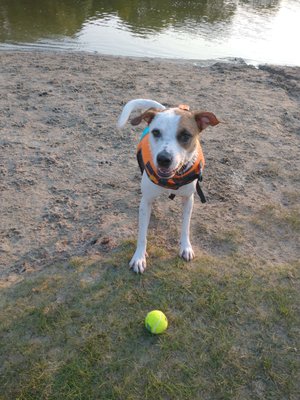 MINOOKA PARK - Updated December 2025 - 124 Photos & 31 Reviews - 1927 E ...