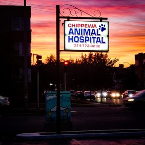 HIGH RIDGE ANIMAL HOSPITAL - Updated June 2024 - 11 Reviews - 2612 ...