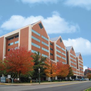 LISA CADOO - Updated December 2025 - 17 Photos & 24 Reviews - 66 Park ...