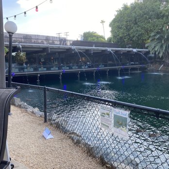 ANTHONY’S FISH GROTTO - Updated November 2024 - 1381 Photos & 1675 ...