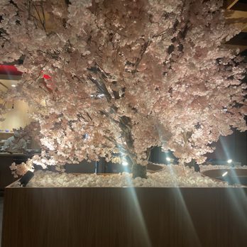 KUWADA - 100 Photos & 42 Reviews - 12780 Foothill Blvd, Rancho ...