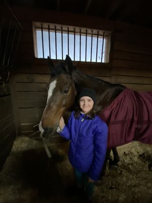 CROSS CREEK STABLES - Updated November 2025 - 76 Photos & 11 Reviews ...