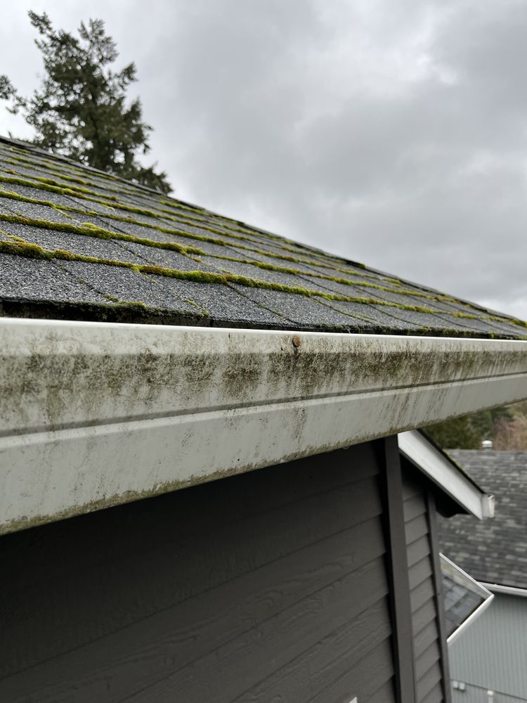 PORTLAND GUTTER CLEANER - Updated July 2025 - 18 Photos - 10100 SW ...