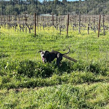 ALSTON PARK - Updated January 2026 - 216 Photos & 76 Reviews - Dry ...