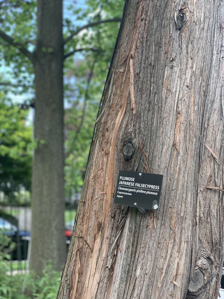 VAN VLECK HOUSE & GARDENS - Updated June 2025 - 336 Photos & 49 Reviews ...