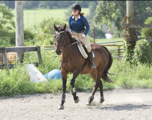 STONE HORSE FARM - Updated June 2025 - 40 Photos - 38 S Quaker Ln, Hyde ...