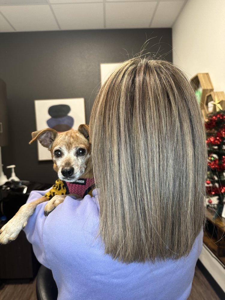 ALICE KIM - Updated April 2025 - 459 Photos & 82 Reviews - 1079 Sunrise ...