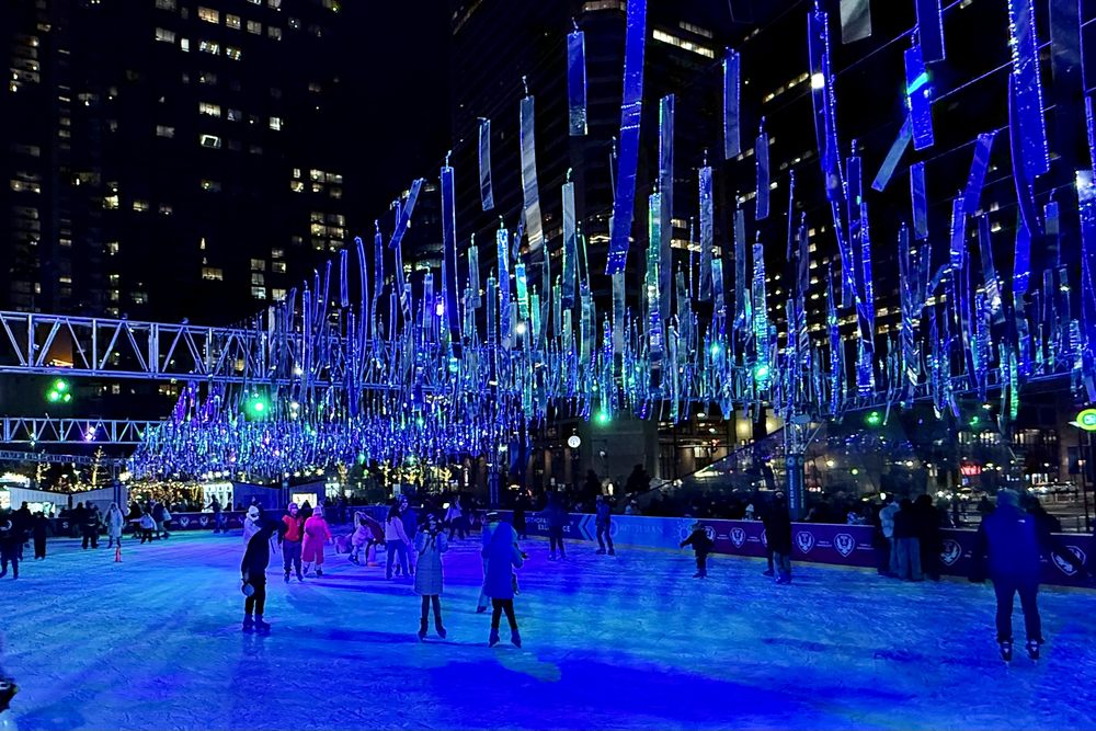 ROTHMAN ORTHOPAEDICS ICE RINK - Updated March 2025 - 105 Photos & 32 ...