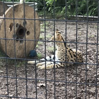 CATTY SHACK RANCH WILDLIFE SANCTUARY - Updated July 2025 - 690 Photos ...