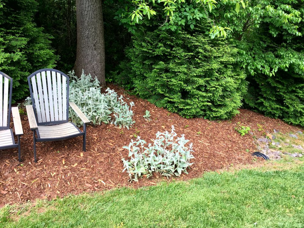LAWN CARE LEAD - Request a Quote - 17 Photos - Candler, North Carolina ...
