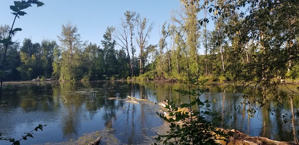WHITAKER PONDS NATURE PARK - Updated May 2025 - 32 Photos - 7040 NE ...