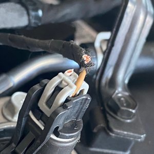 CARMAX - Updated July 2025 - 98 Photos & 450 Reviews - 7980 Auto Dr ...