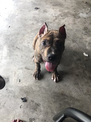 CABARRUS ANIMAL HOSPITAL - 11 Photos & 26 Reviews - 3030 S Cannon Blvd ...