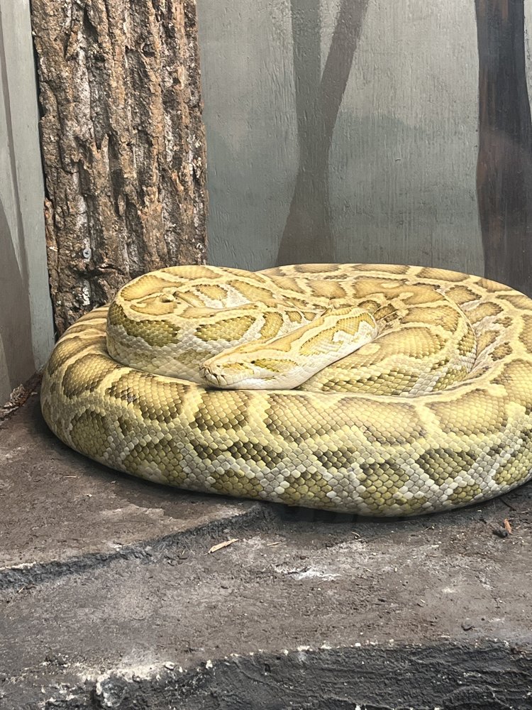 MY THREE CHAMBERED HEART - Updated October 2024 - 837 Cross County Rd ...