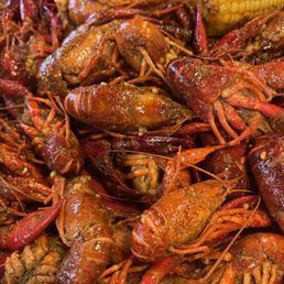 COMAL CRAWFISH COMPANY - Updated November 2025 - 102 Photos & 211 ...
