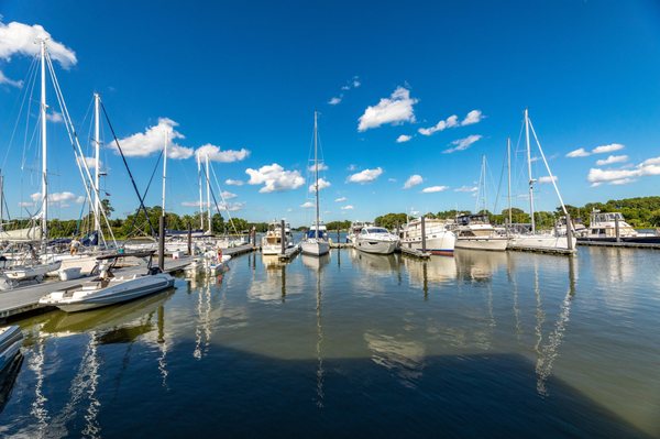 YORK RIVER YACHT HAVEN - Updated July 2025 - 64 Photos & 20 Reviews ...