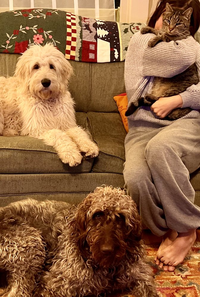 CASCADE SUMMIT ANIMAL HOSPITAL - 29 Photos & 63 Reviews - 22320 S ...