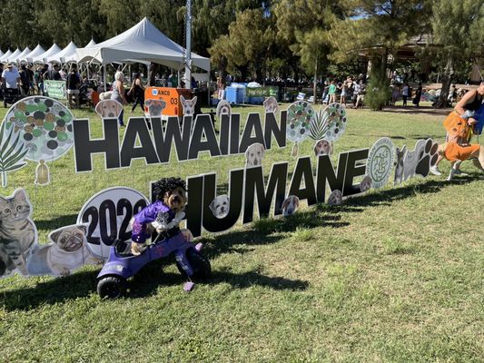 HAWAIIAN HUMANE SOCIETY - Updated December 2024 - 1051 Photos & 371 ...