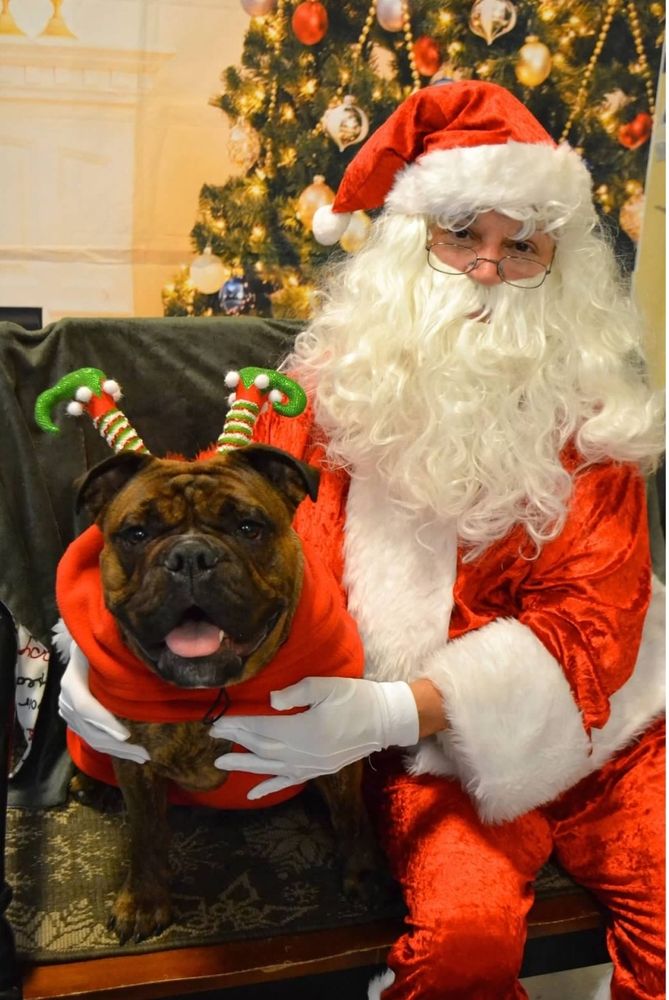 MORSE DOG PARK - 199 Photos & 42 Reviews - Dog Parks - 5540 Bellaterra ...