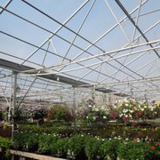 FLOWER POWER FARM - 55 Photos & 15 Reviews - Nurseries & Gardening ...