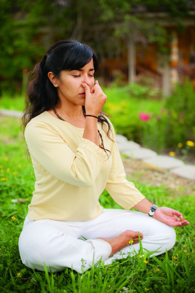 SIVANANDA ASHRAM YOGA FARM - Updated December 2025 - 142 Photos & 75 ...