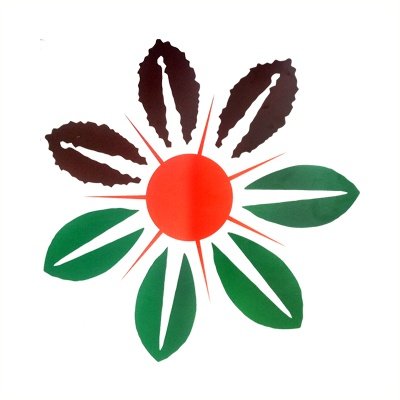 WILDLIFE - Updated April 2024 - 189 Tiffintown Rd, Bovina, Mississippi ...