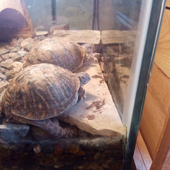 MORRISON NATURAL HISTORY MUSEUM - Updated May 2024 - 42 Photos & 39 ...