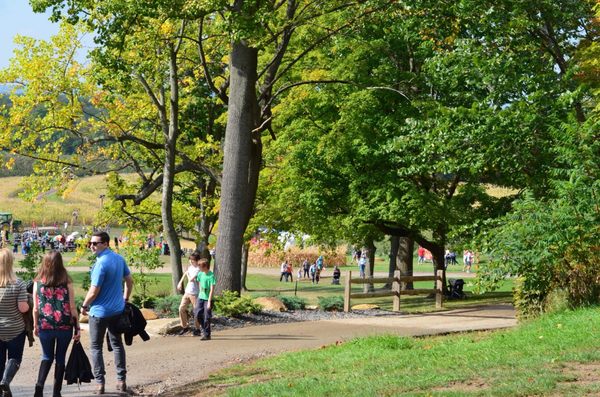 MAPLESIDE FARMS - 179 Photos & 110 Reviews - 294 Pearl Rd, Brunswick ...