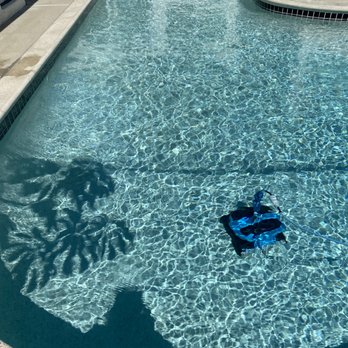 PREMIER POOL PLASTERING - Updated March 2025 - 168 Photos & 82 Reviews ...