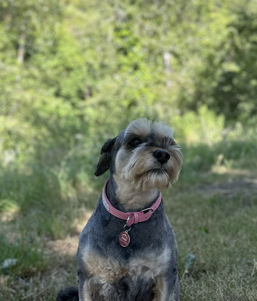 BENBOW KOA - Updated December 2024 - 114 Photos & 94 Reviews - 7000 ...