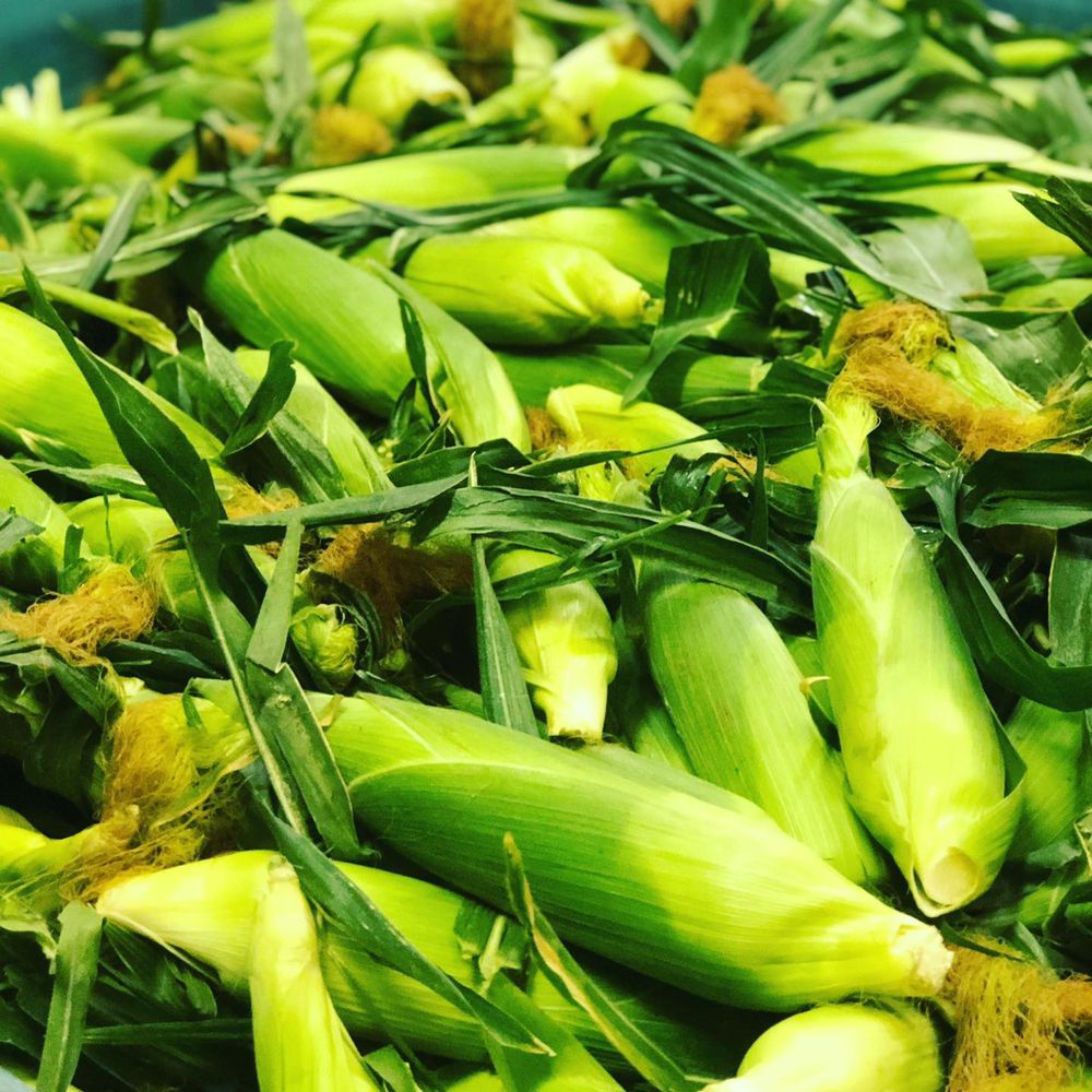 PEDRICK PRODUCE - 915 Photos & 440 Reviews - 6850 Sievers Rd, Dixon, CA ...