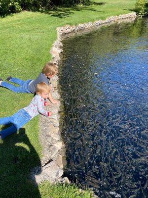 COLD SPRINGS TROUT FARM - Updated January 2026 - 51 Photos & 33 Reviews ...