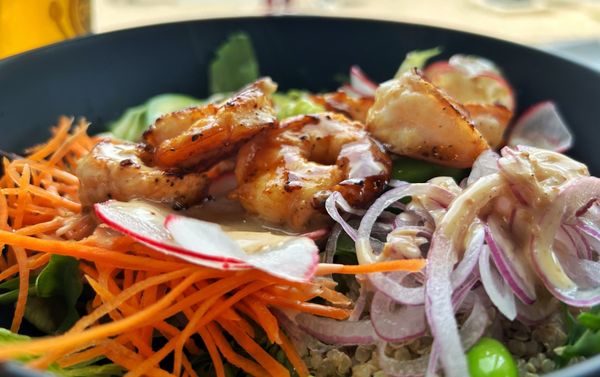 CRAVE - Updated January 2026 - 109 Photos & 96 Reviews - 1386 Mt Hope ...