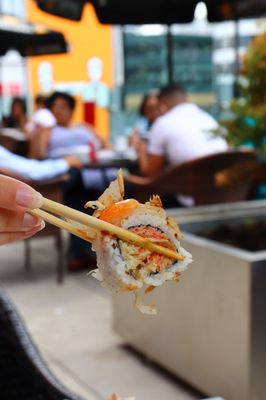 SPRING SUSHI - Updated July 2024 - 462 Photos & 373 Reviews - 10 Dundas ...