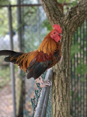 POPCORN PARK ZOO - Updated August 2024 - 255 Photos & 137 Reviews ...