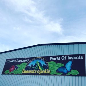 INSECTROPOLIS - 42 Photos & 23 Reviews - 1761 Rte 9, Toms River, New ...