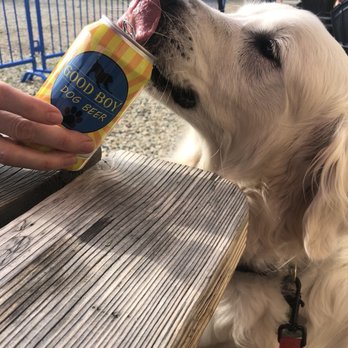 FRASER RIVER BEER - Updated August 2025 - 42 Photos & 23 Reviews - 218 ...